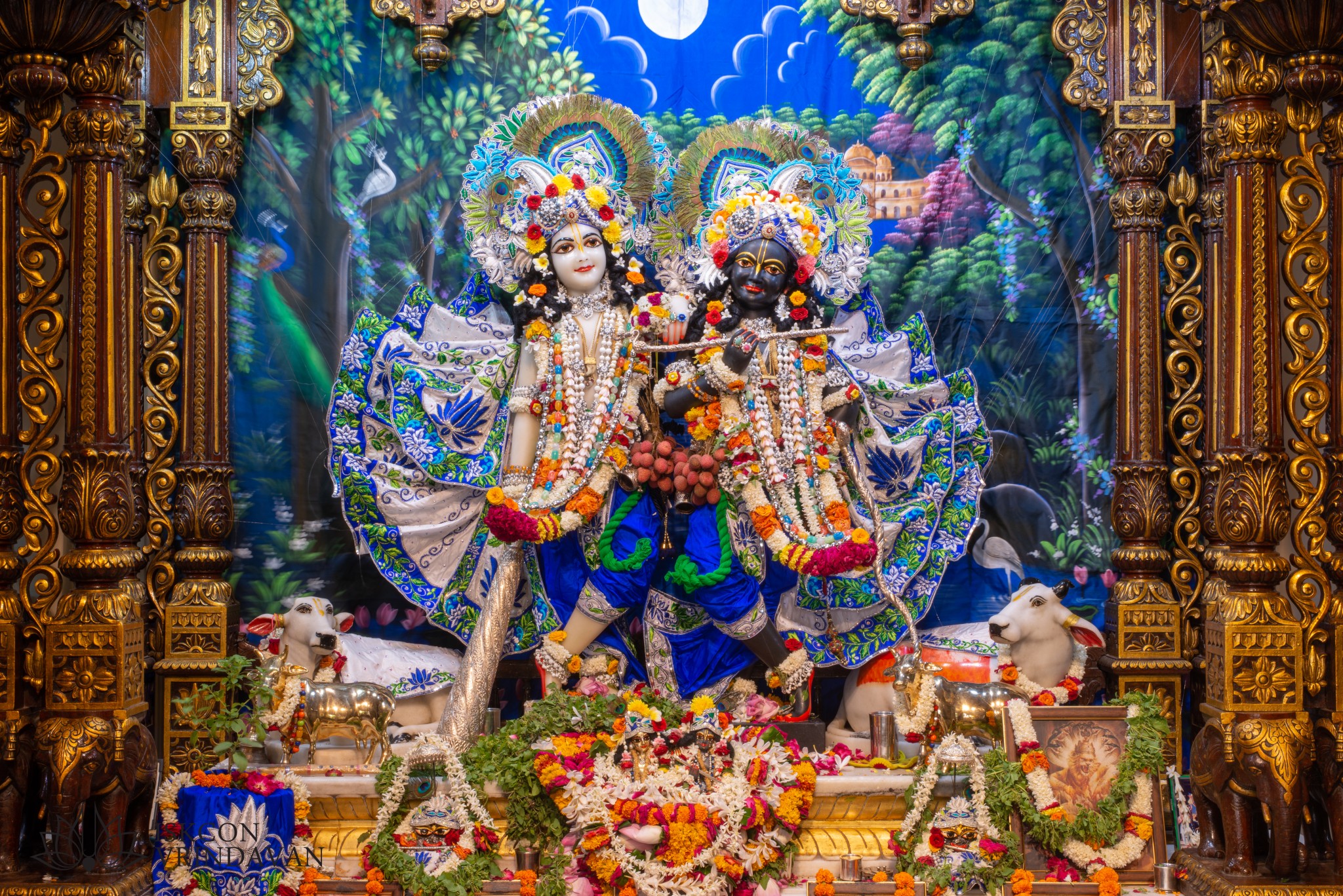 Daily Darshan Gallery – ISKCON Vrindavan Divine Moments