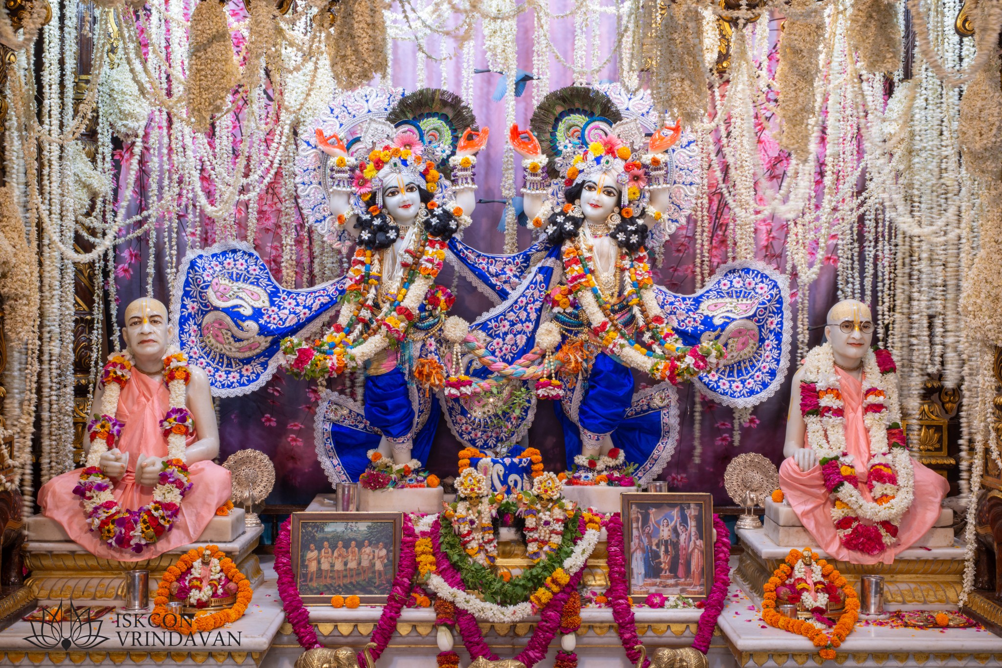 Daily Darshan Gallery – ISKCON Vrindavan Divine Moments