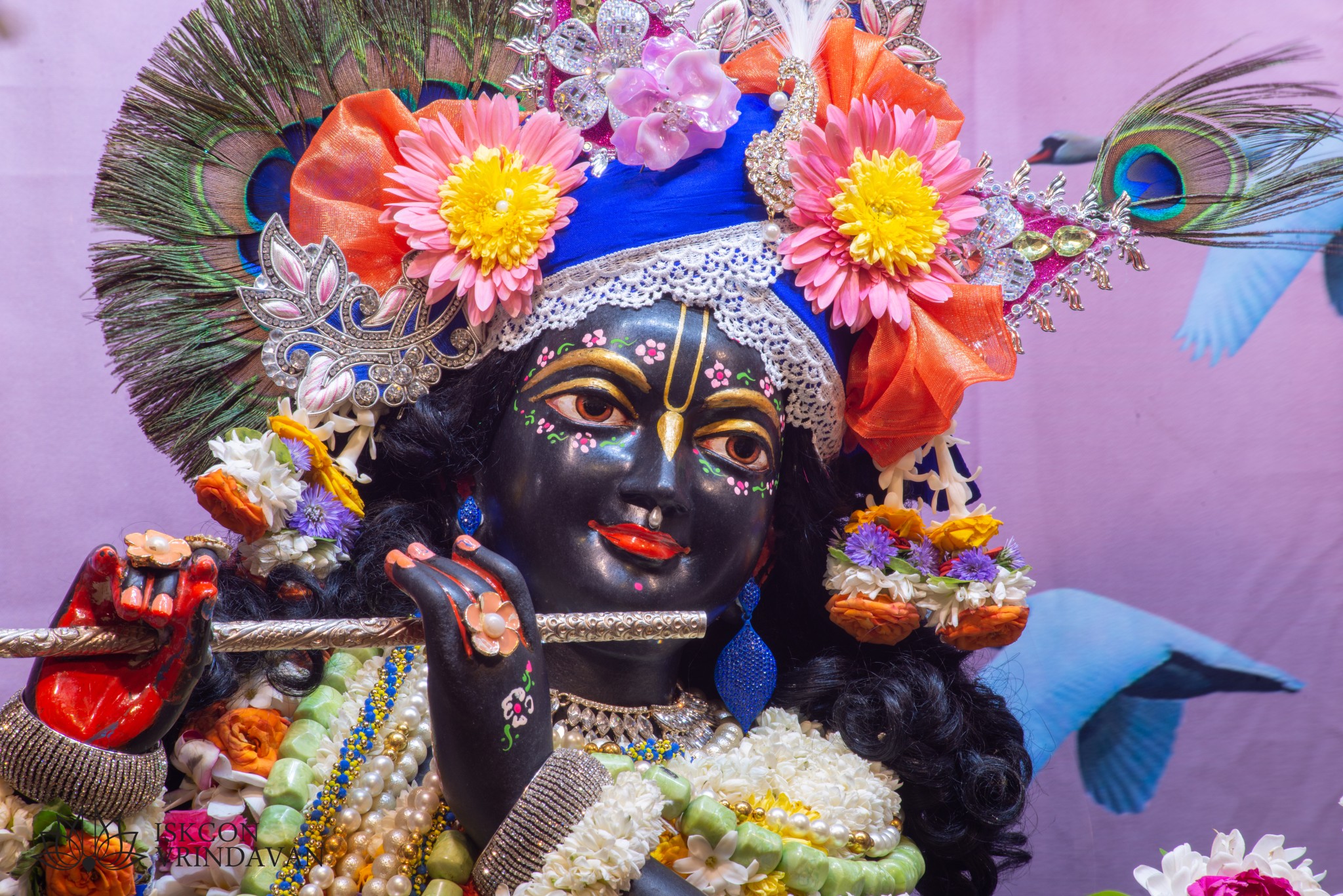 Daily Darshan Gallery – ISKCON Vrindavan Divine Moments