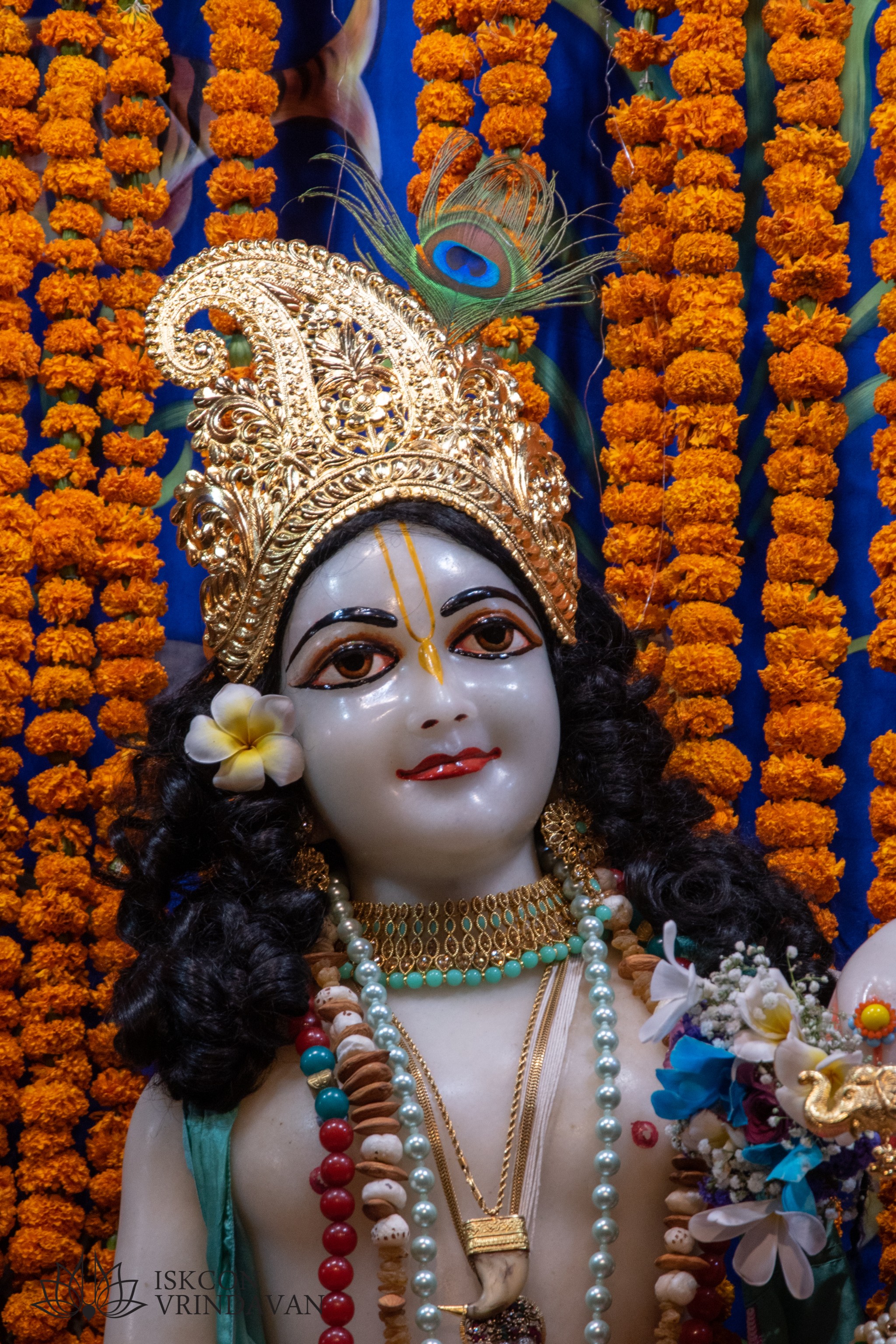 Daily Darshan Gallery – ISKCON Vrindavan Divine Moments