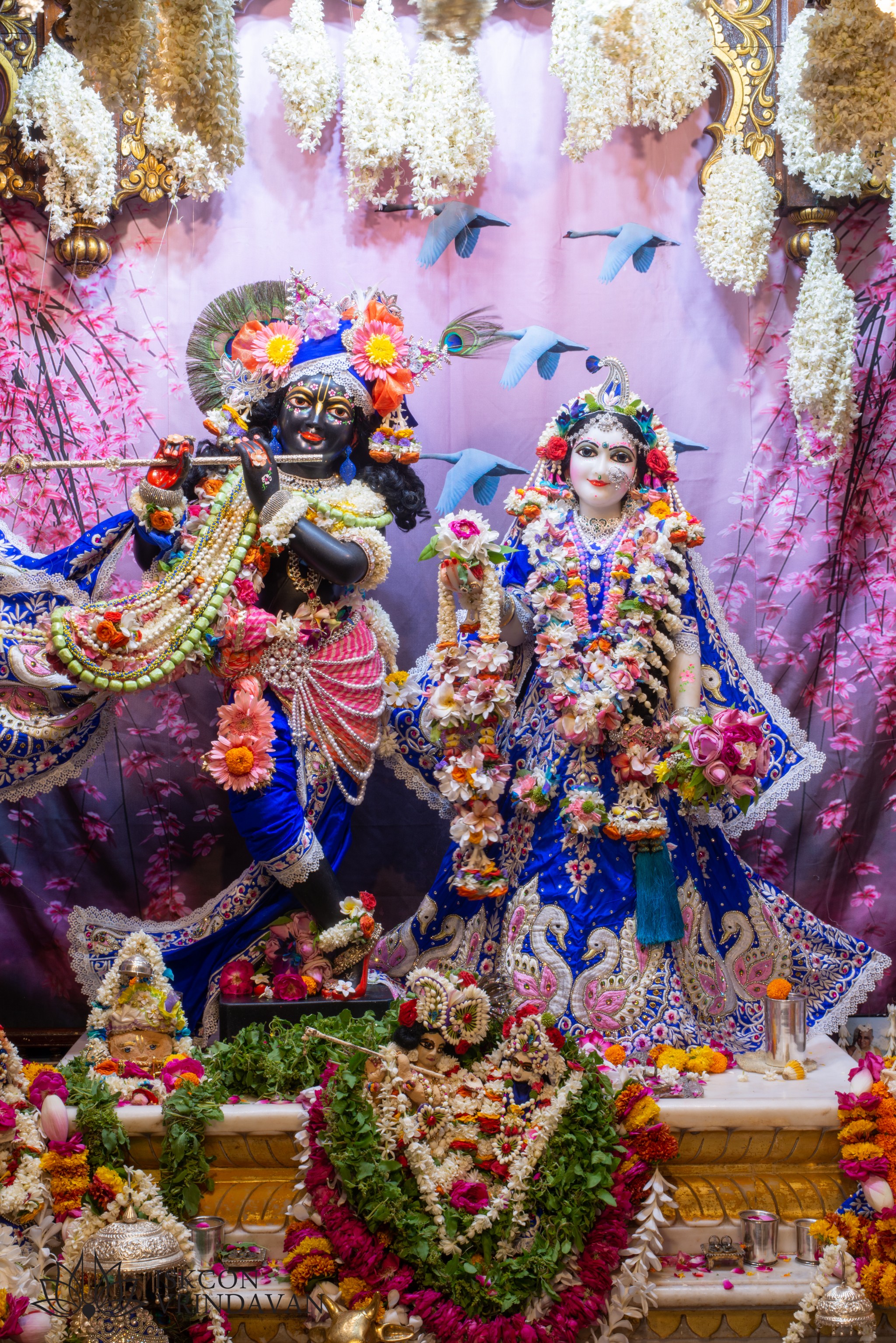 Daily Darshan Gallery – ISKCON Vrindavan Divine Moments