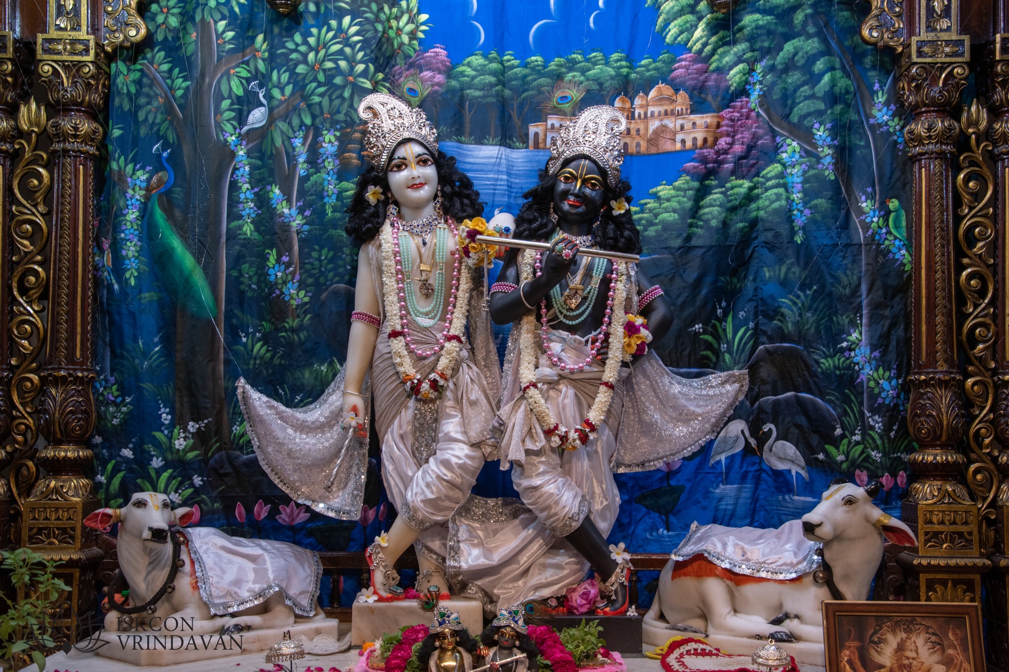Daily Darshan Gallery – ISKCON Vrindavan Divine Moments