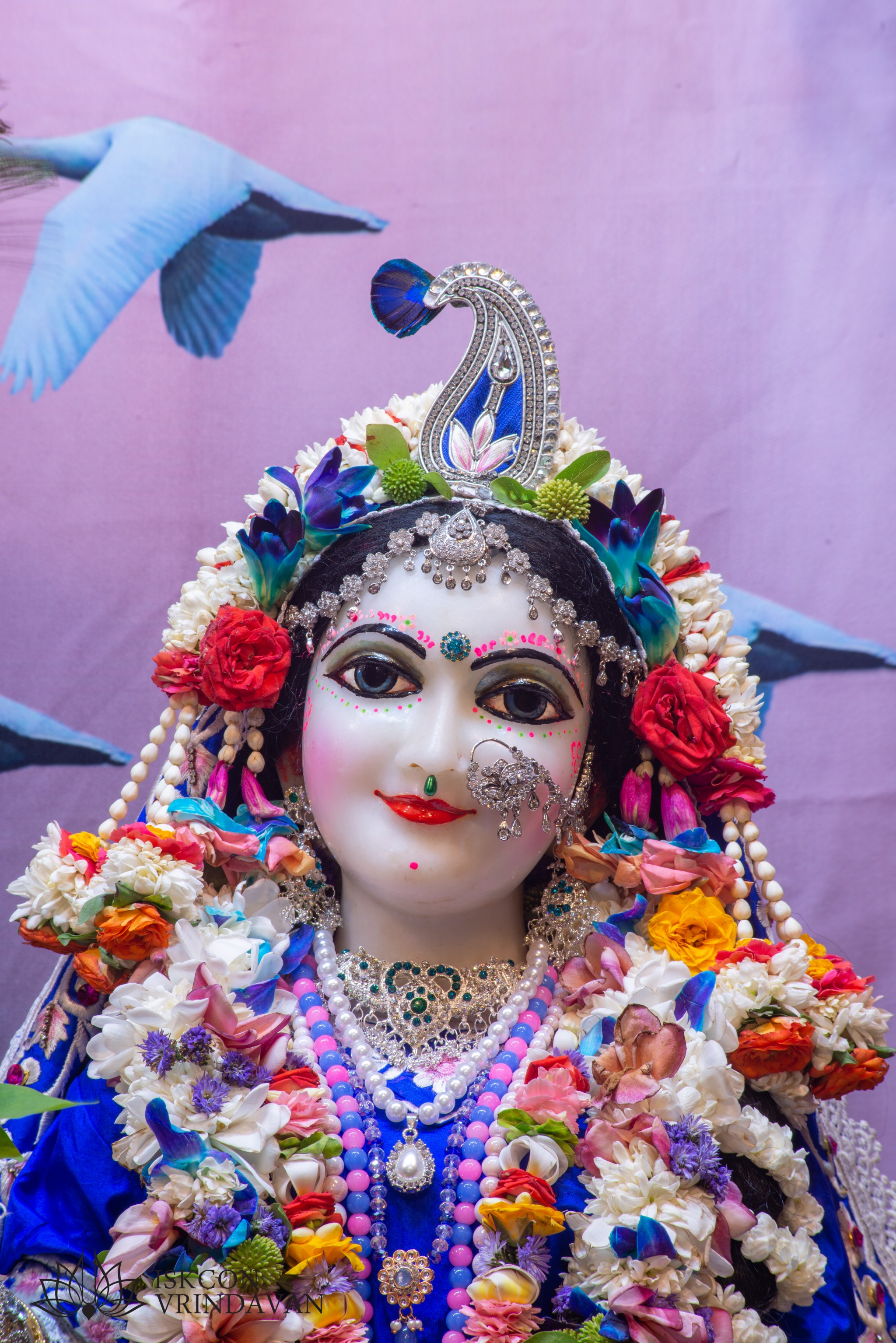 Daily Darshan Gallery – ISKCON Vrindavan Divine Moments