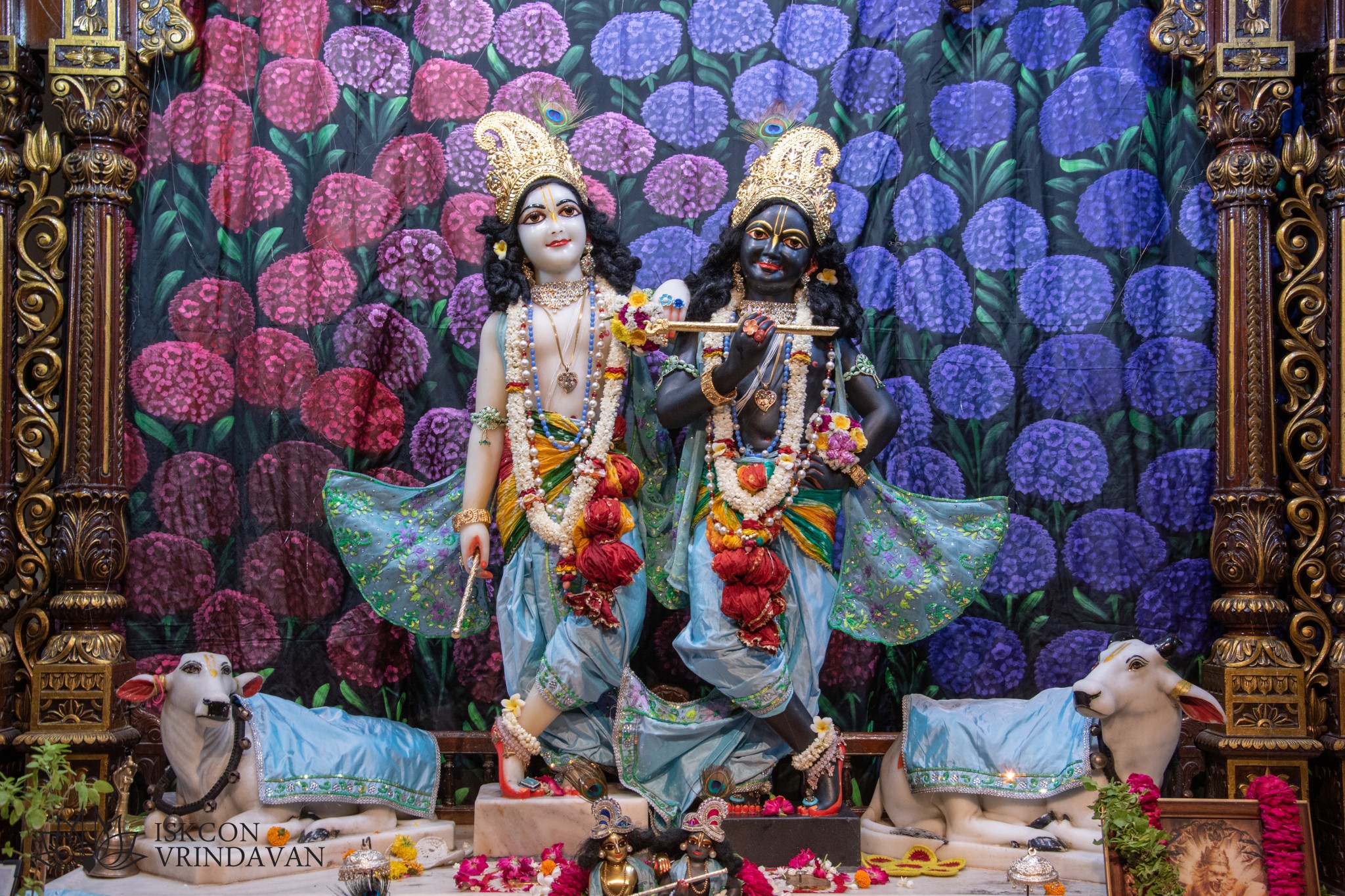 Daily Darshan Gallery – ISKCON Vrindavan Divine Moments